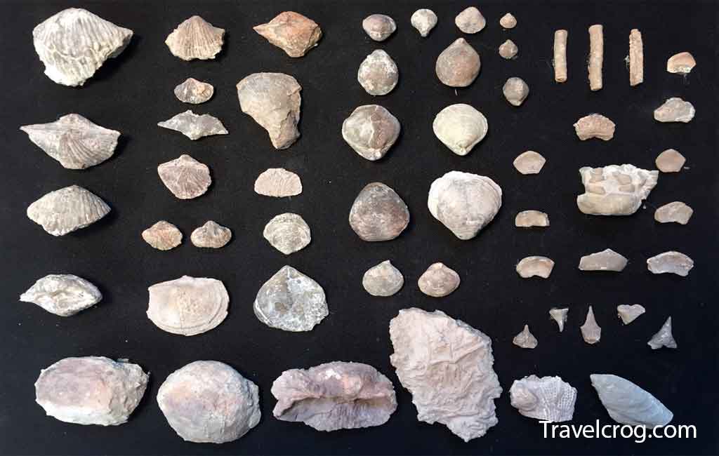 20 Amazing Things To Do In Payson, Arizona - Travel Crog