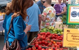 20 Fun Things To Do In Payson, Arizona 2026