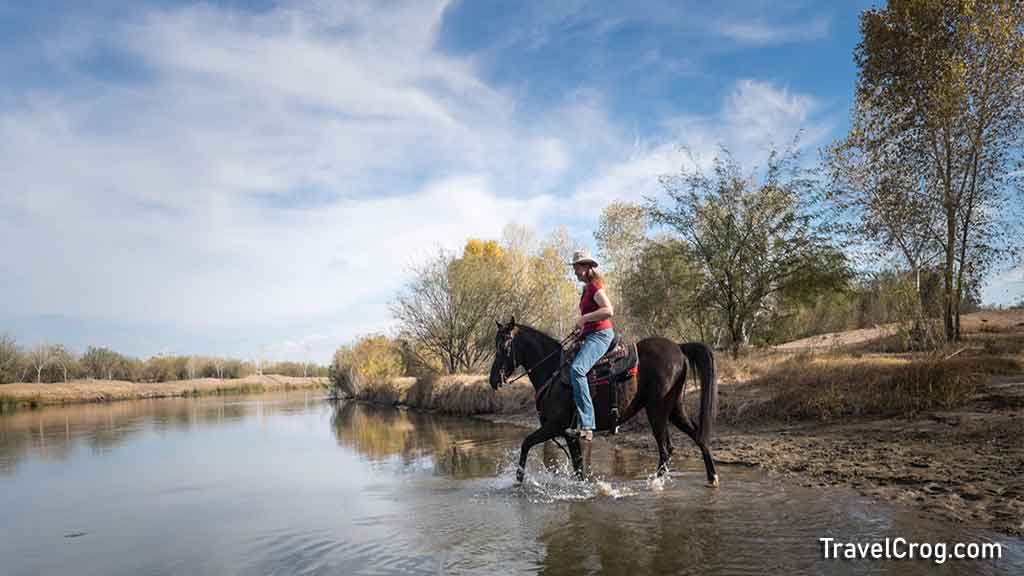 THE 20 BEST Things to Do in Yuma - 2021 - Travel Crog