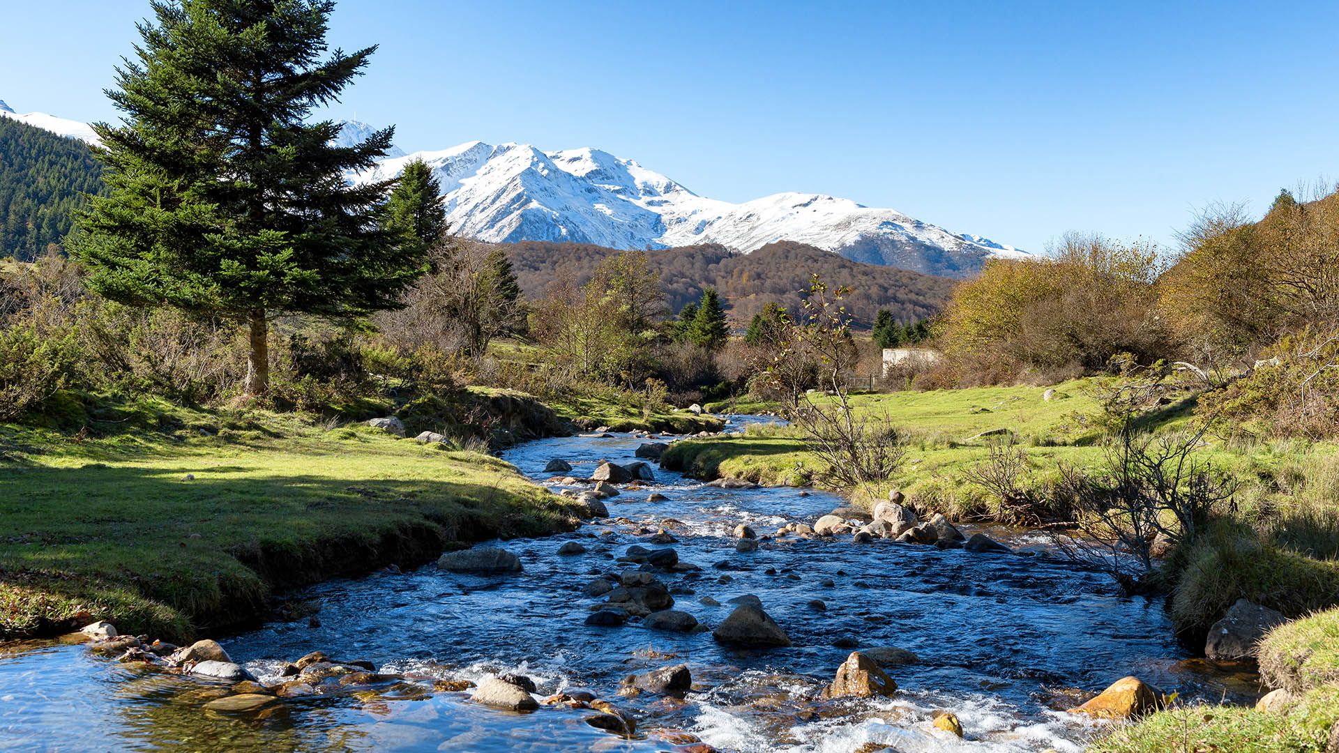 21 Easy Day Trips from Paris - Paris Discovery Guide 2024