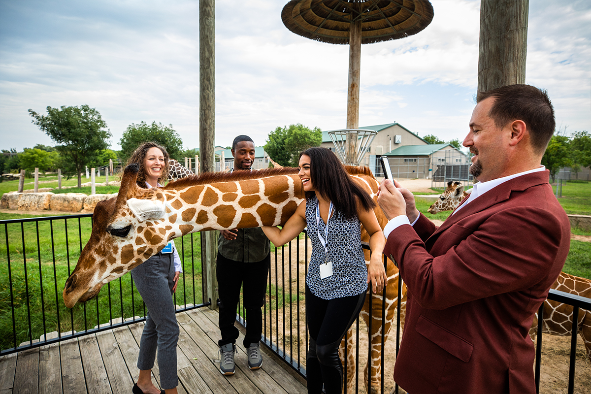 31 Best Things To Do In Arizona: Visit Arizona 2024