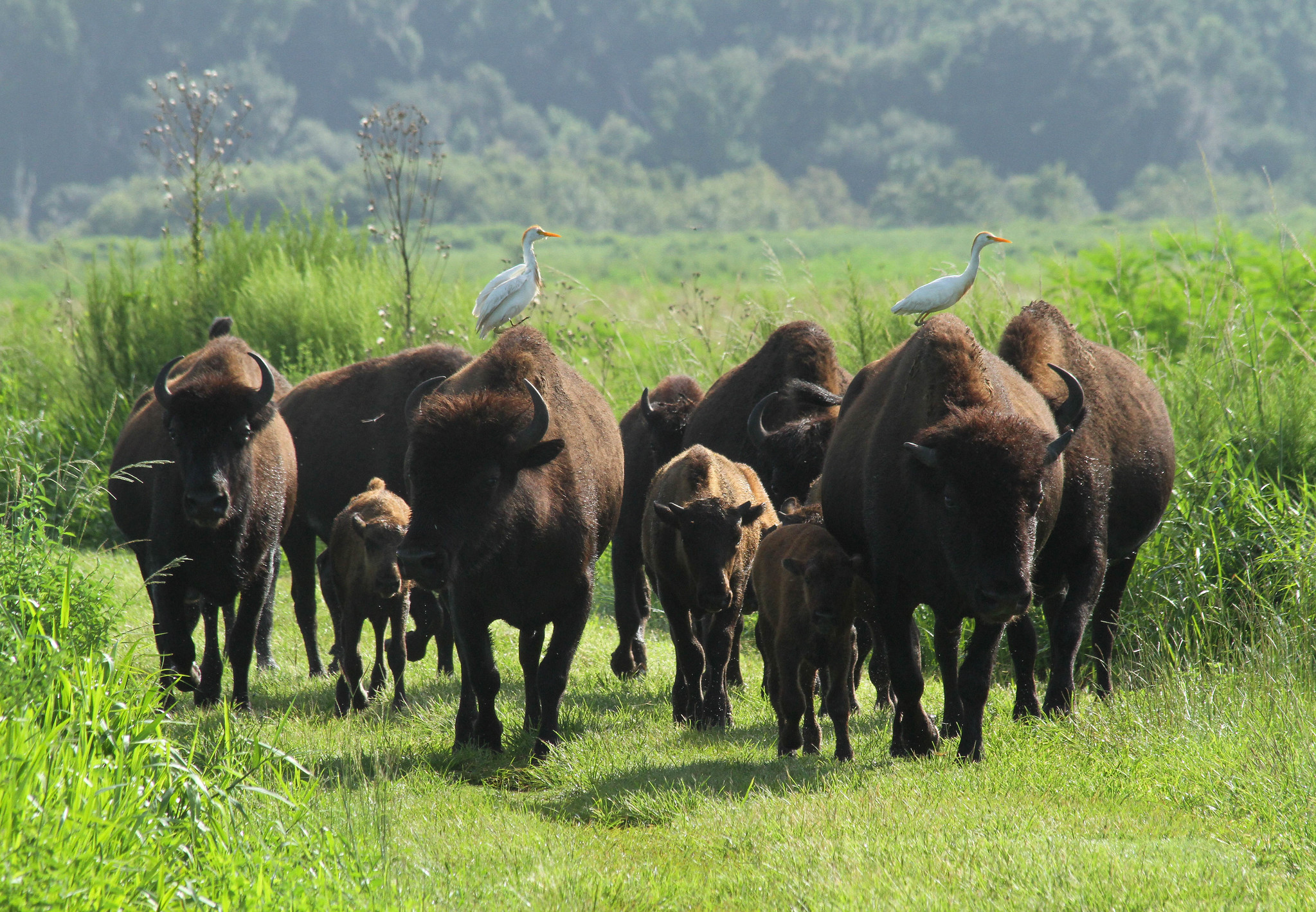 21 Hidden Gems in Florida To Visit In 2024 - Travel Crog