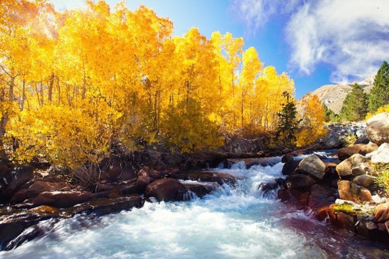 18 Amazing Things To Do In Bishop, California 2025