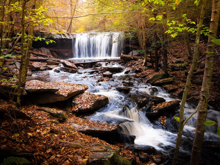10 Best Trails and Hikes in Pennsylvania 2024